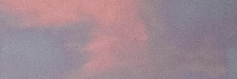 Юлия Пешехонова