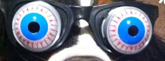 rutube_account_23621679