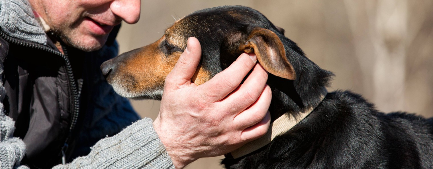 Фонд "Помощь бездомным беспорождным животным"
