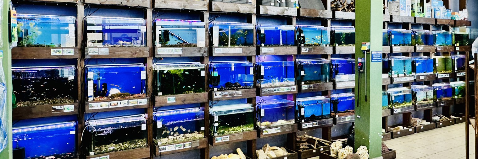 Магазин Аквариум