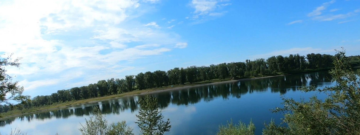 Рыболовные Хроники