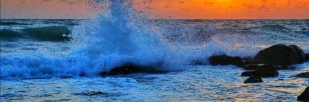 Светлана Роговская