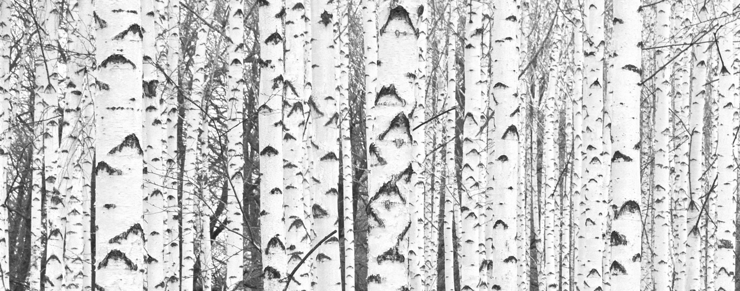 Нескучное фото. Владимир Р.