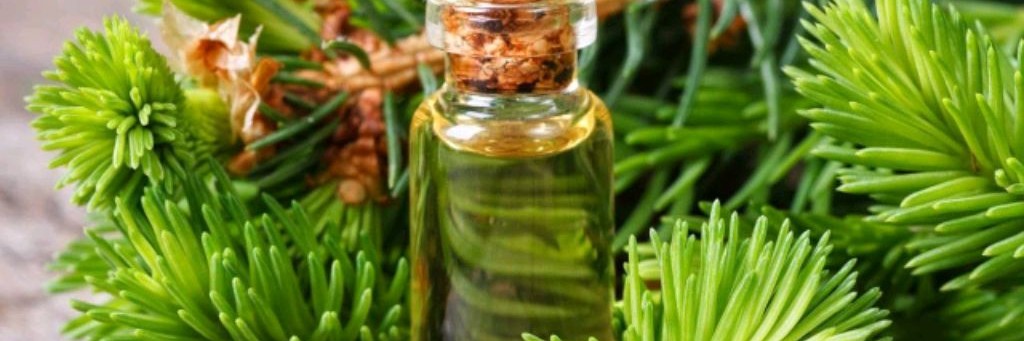 Юлия Александрова