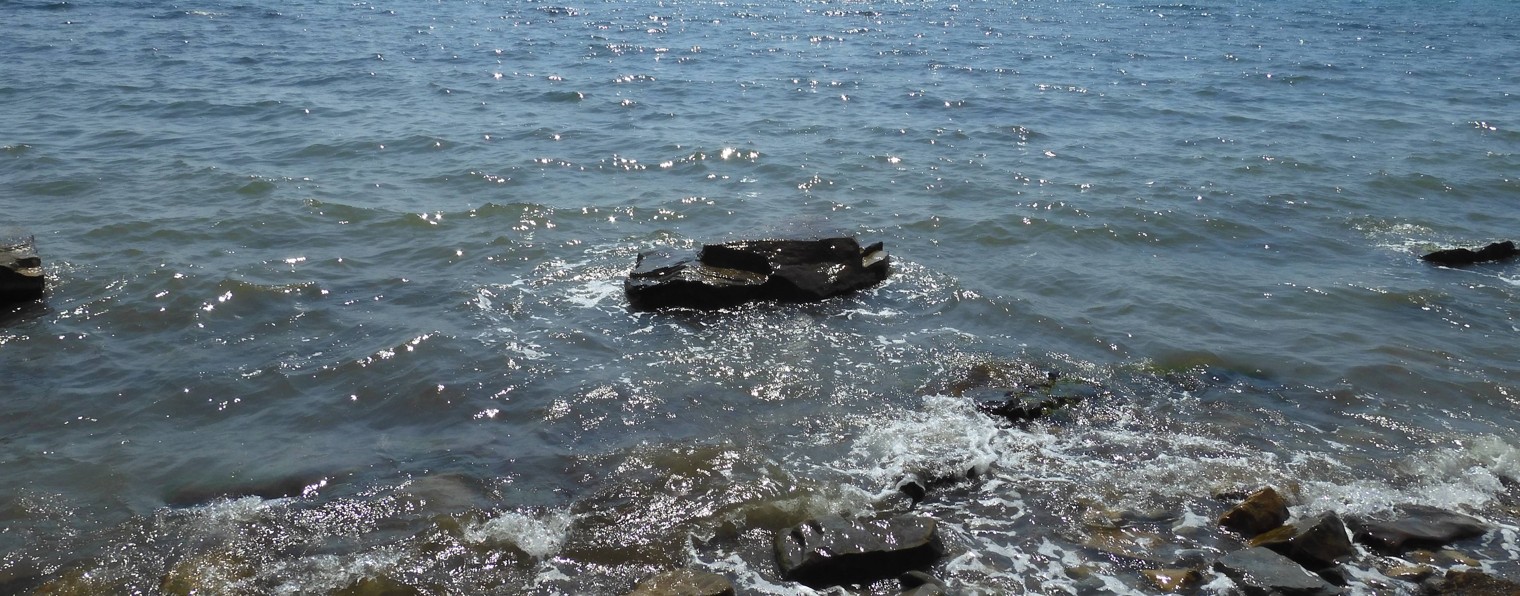 Видео Дневник уставшего пенсионера