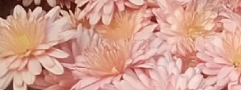 Сад, огород, цветы с Таней Соколовой.