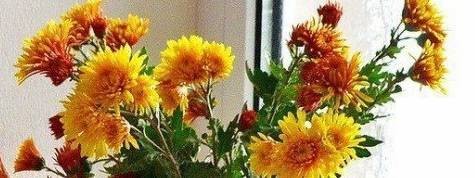 Салифова Татьяна Васильевна