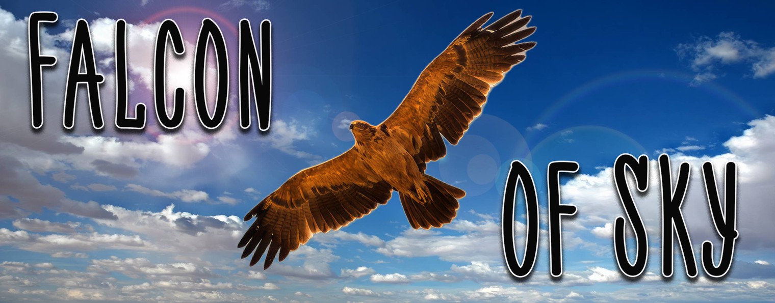 Falcon of sky