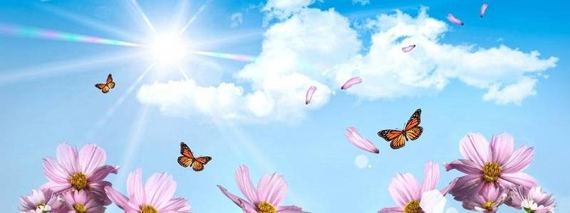 ЦЕРКОВЬ ИИСУСА ХРИСТА СЫНА БОЖЬЕГО