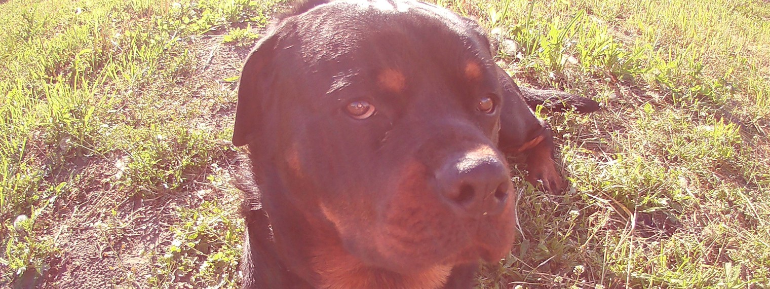 Любимые хобби с Жориком