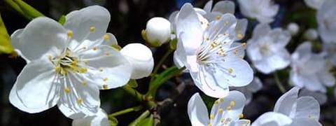 Олег Юрьевич Нуждов