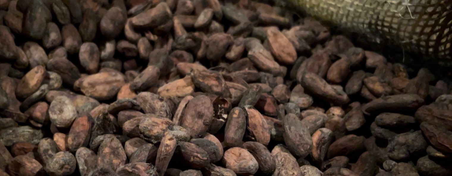 ROMKIN’S CHOCOLATE|LIVE