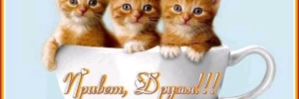 С Праздником 👍🌞🌺🐱