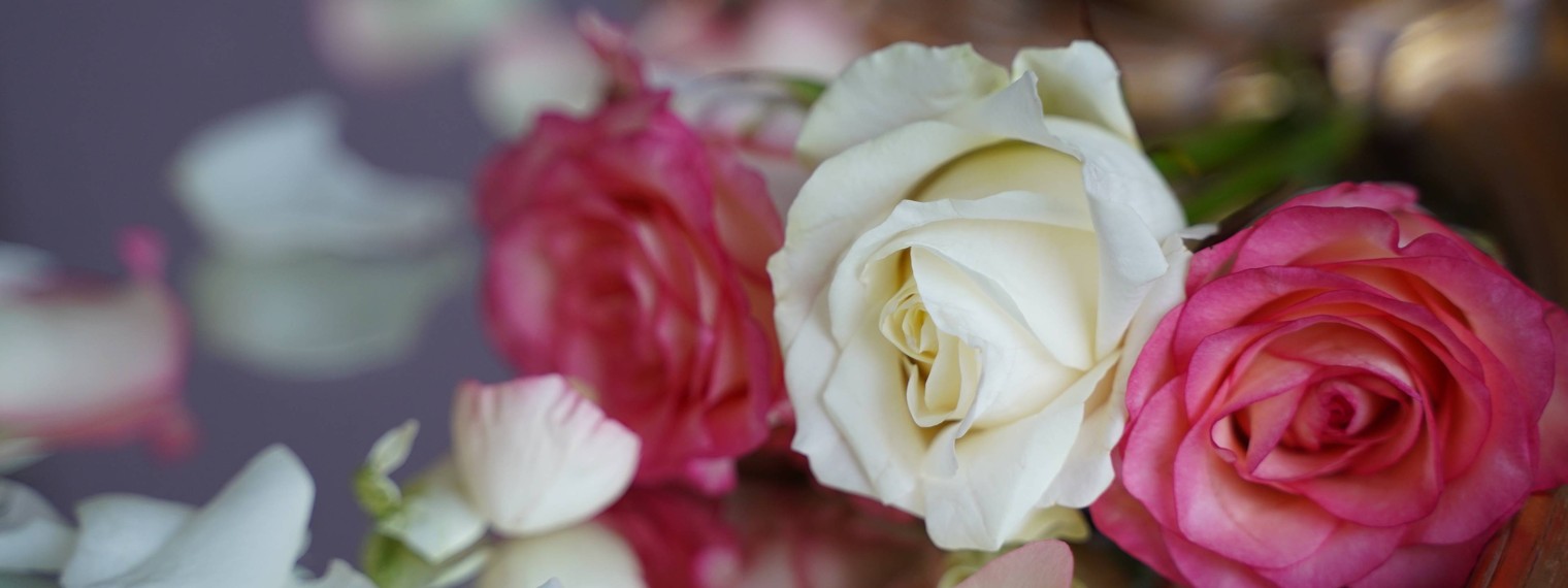 Капралова Елена. Фотограф в Москве.