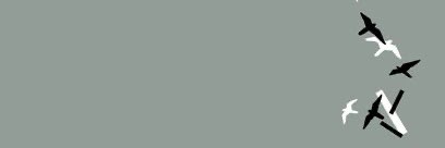 Прилепский