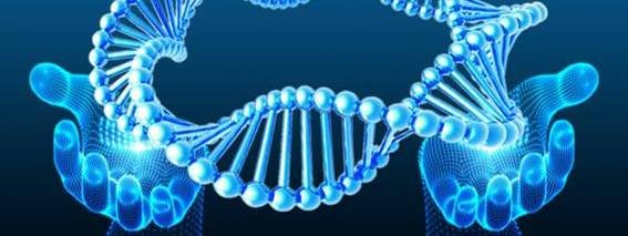 Константин Баландин / Комплементарная медицина.