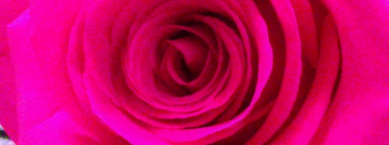 ЖИВЫЕ МИРЫ ПРИРОДЫ и НЕБА