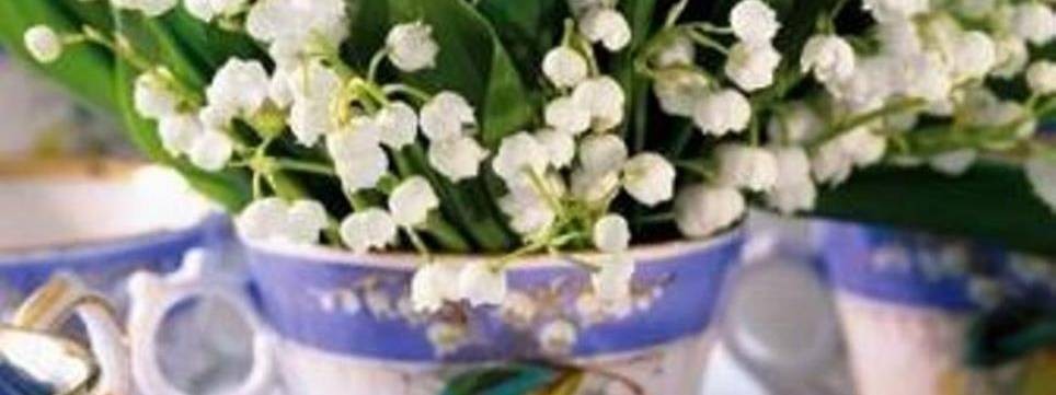 Вера Ларина