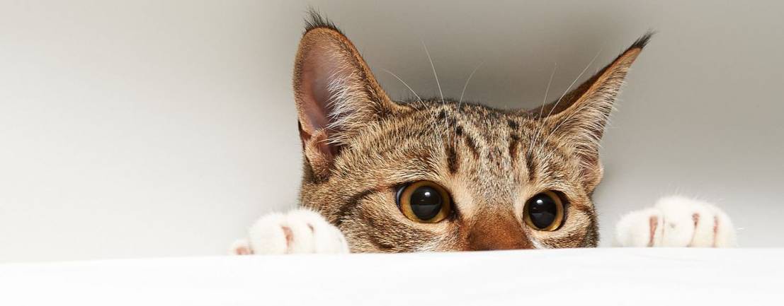 ПРОСТЫЕ МОМЕНТЫ ЖИЗНИ