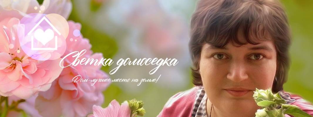 Светка домоседка