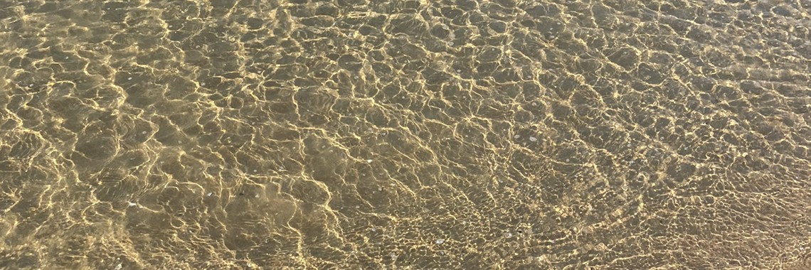 Ольга Белова