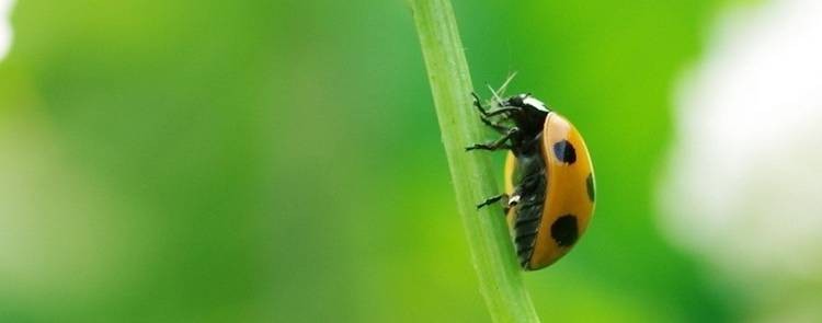 Красивые музыкальные живые открытки-поздравления