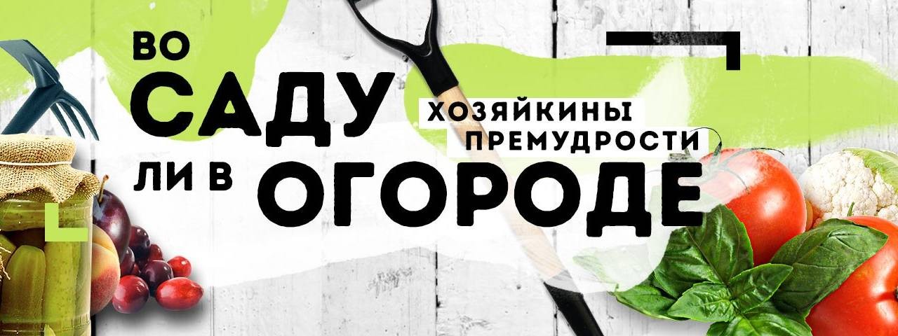 ВО САДУ ЛИ В ОГОРОДЕ