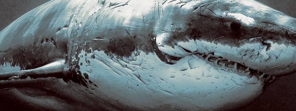 Больной Рыбалкой! sany137