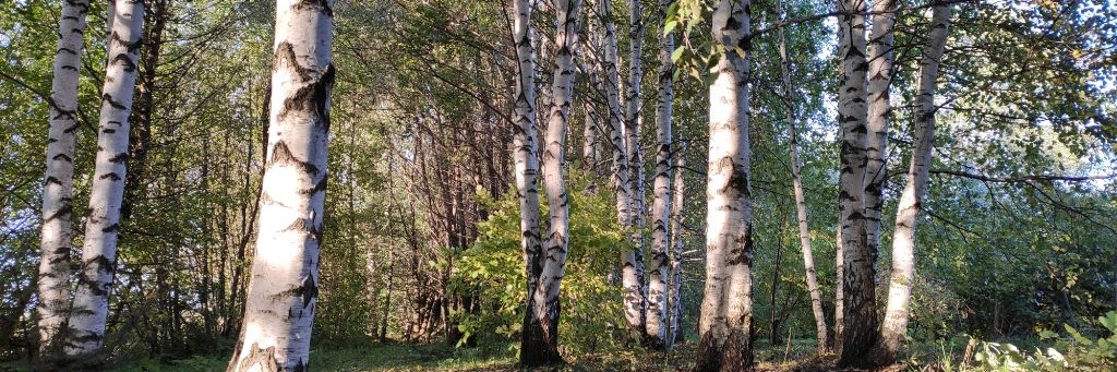 Евгений Смирнов