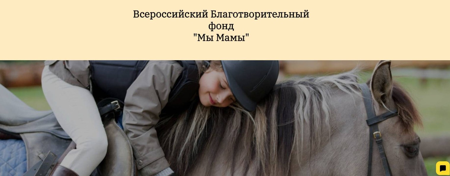 Благотворительный фонд "МЫ МАМЫ" Иппотерапия АФК.