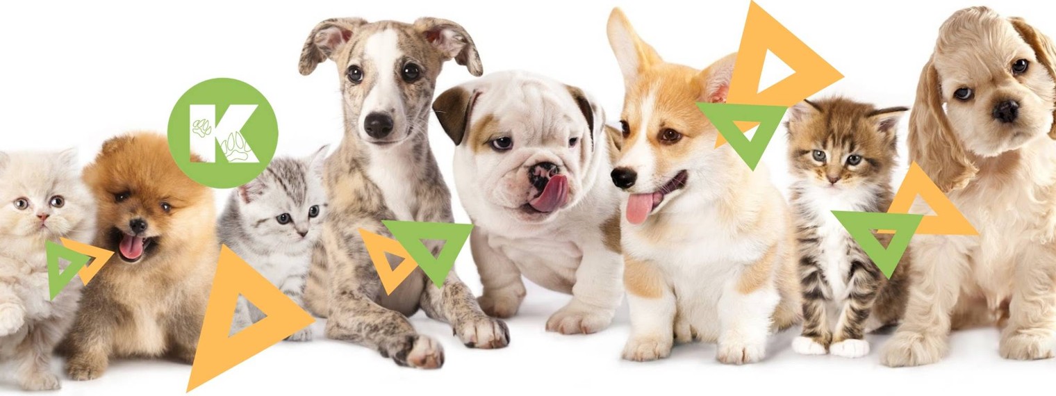 Котонай - сеть ветеринарных центров в России