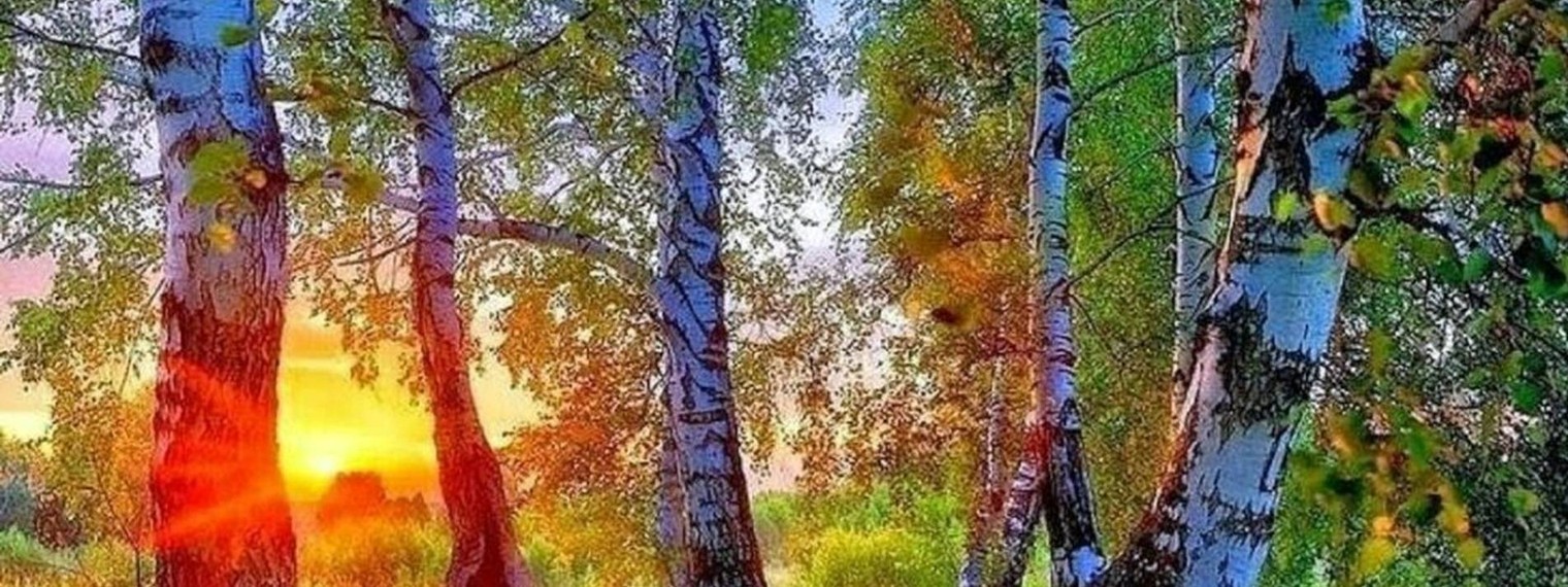 Сергей Щука