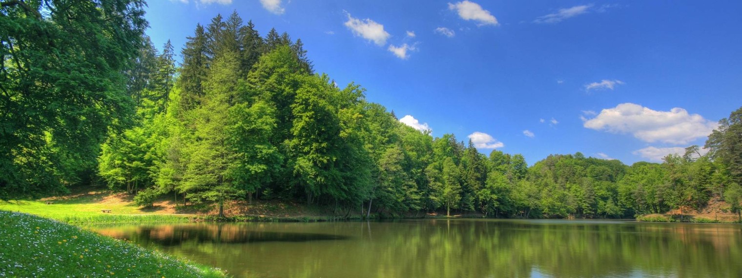 Владимир Токарев