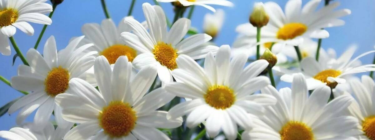 Детский сад 188