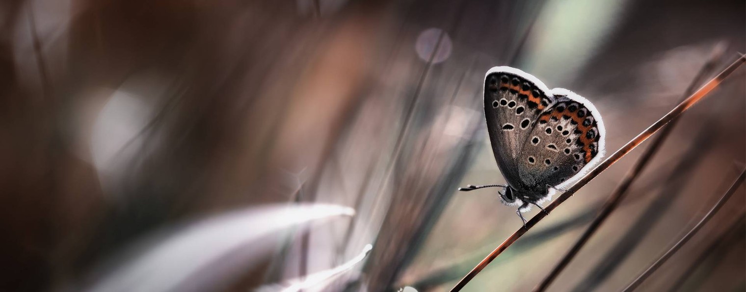 Усп... музыка 36eaf855-0324-4021-8838-9f047ee95216