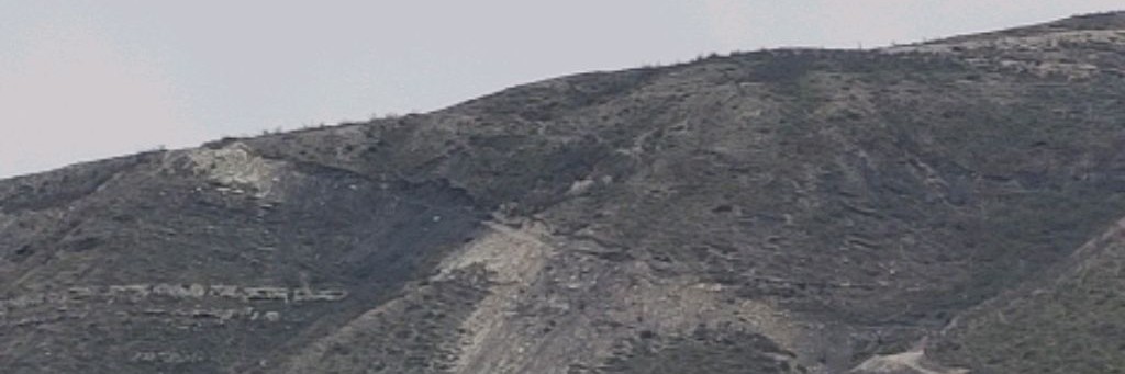 Дмитрий Ведерников