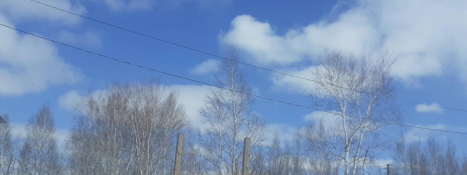 Усадьба Романовых