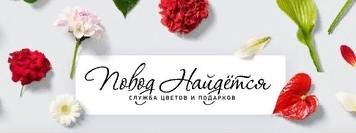 Повод Найдётся