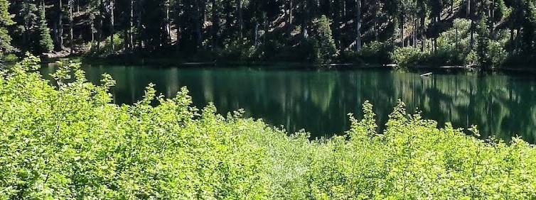 ГБУ ДПО РЦОКИО