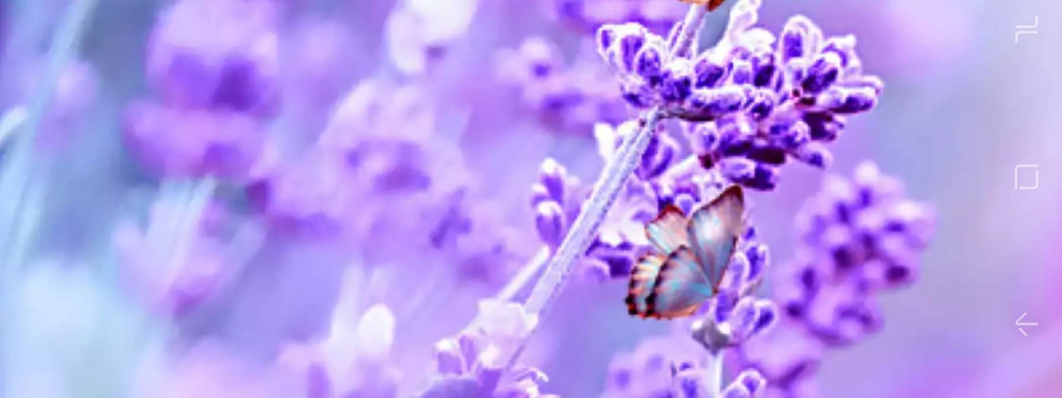 Дивный творческий мир