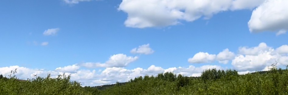 КамниКрис