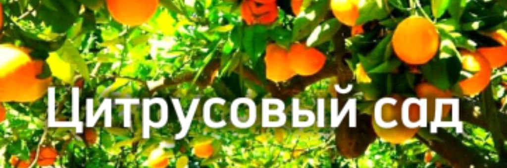 Цитрусовый сад