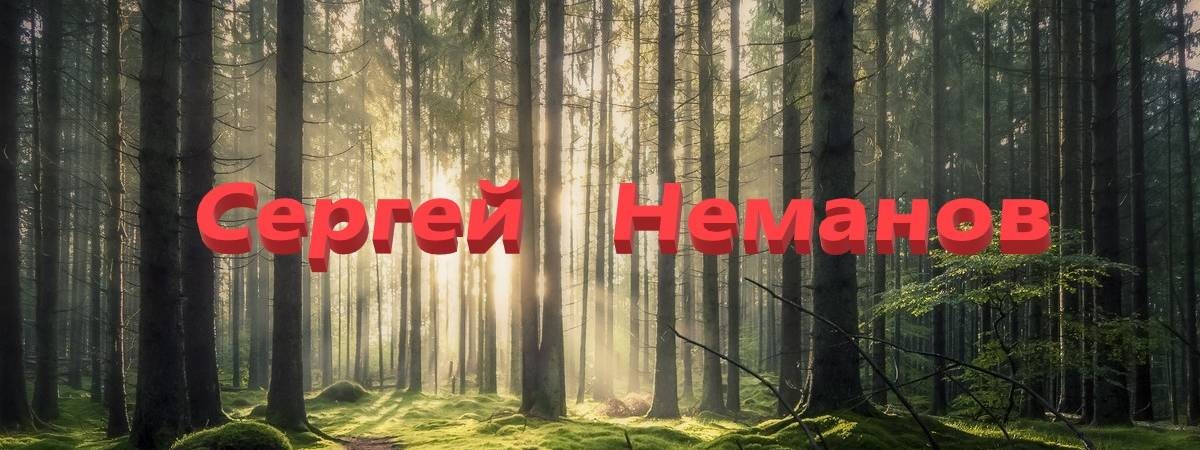 Сергей Неманов