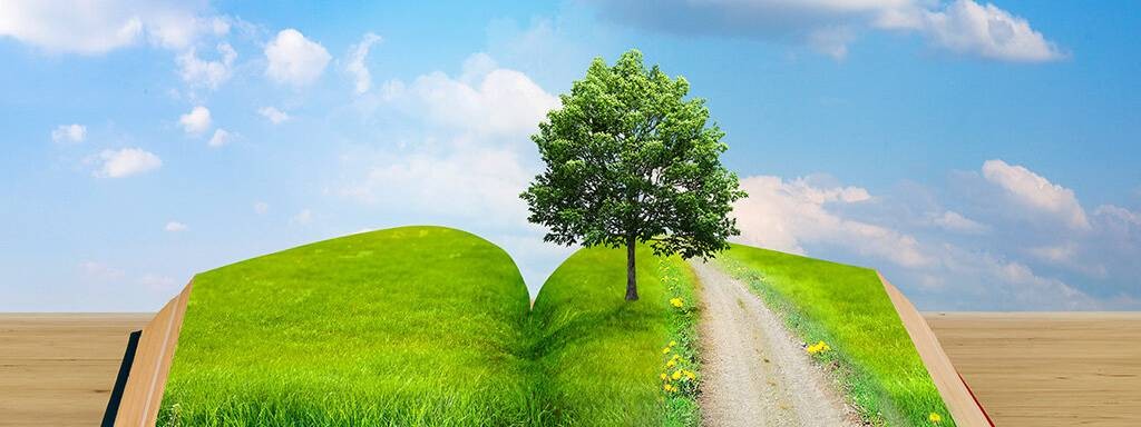 Музикус на RuTube 2022