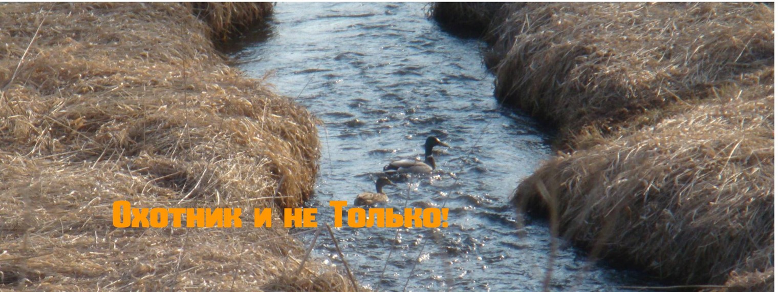 Охотник и Не только!