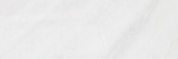 Дженни и кошки