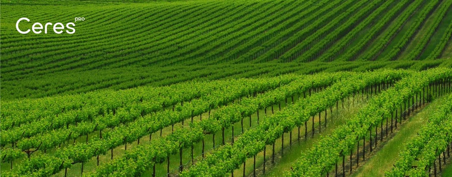 Церес | Метеосистемы для агрохозяйств