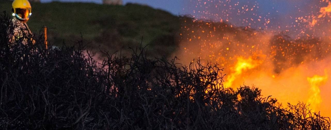 Сахалинский пожарный