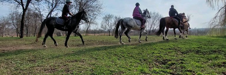 Полезный Конный Блог