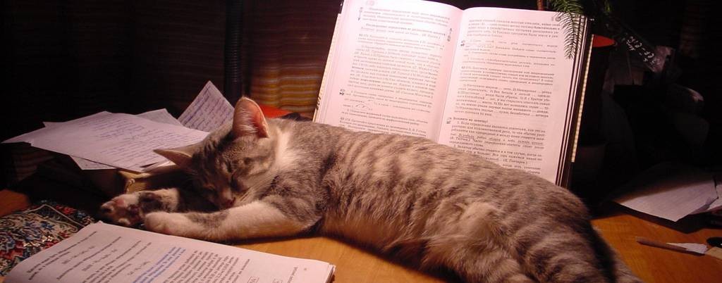 Аудио Книги